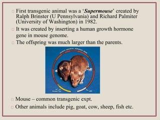 Methods used for animals-DNA micro injection.pptx