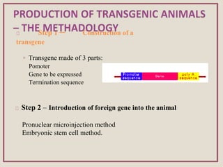 Methods used for animals-DNA micro injection.pptx