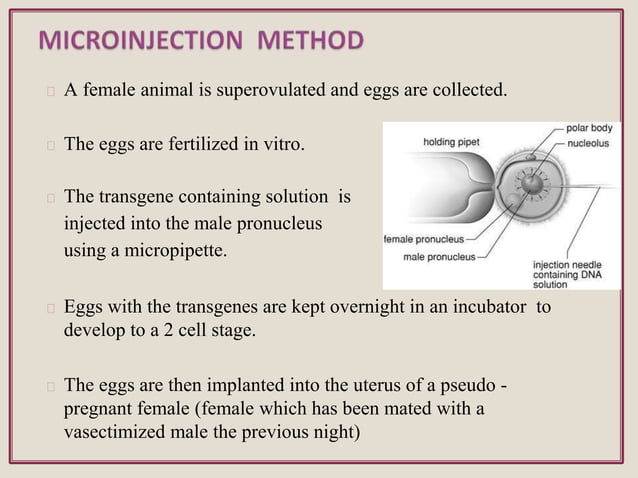 Methods used for animals-DNA micro injection.pptx
