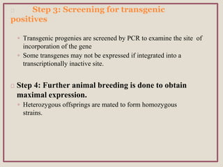 Methods used for animals-DNA micro injection.pptx