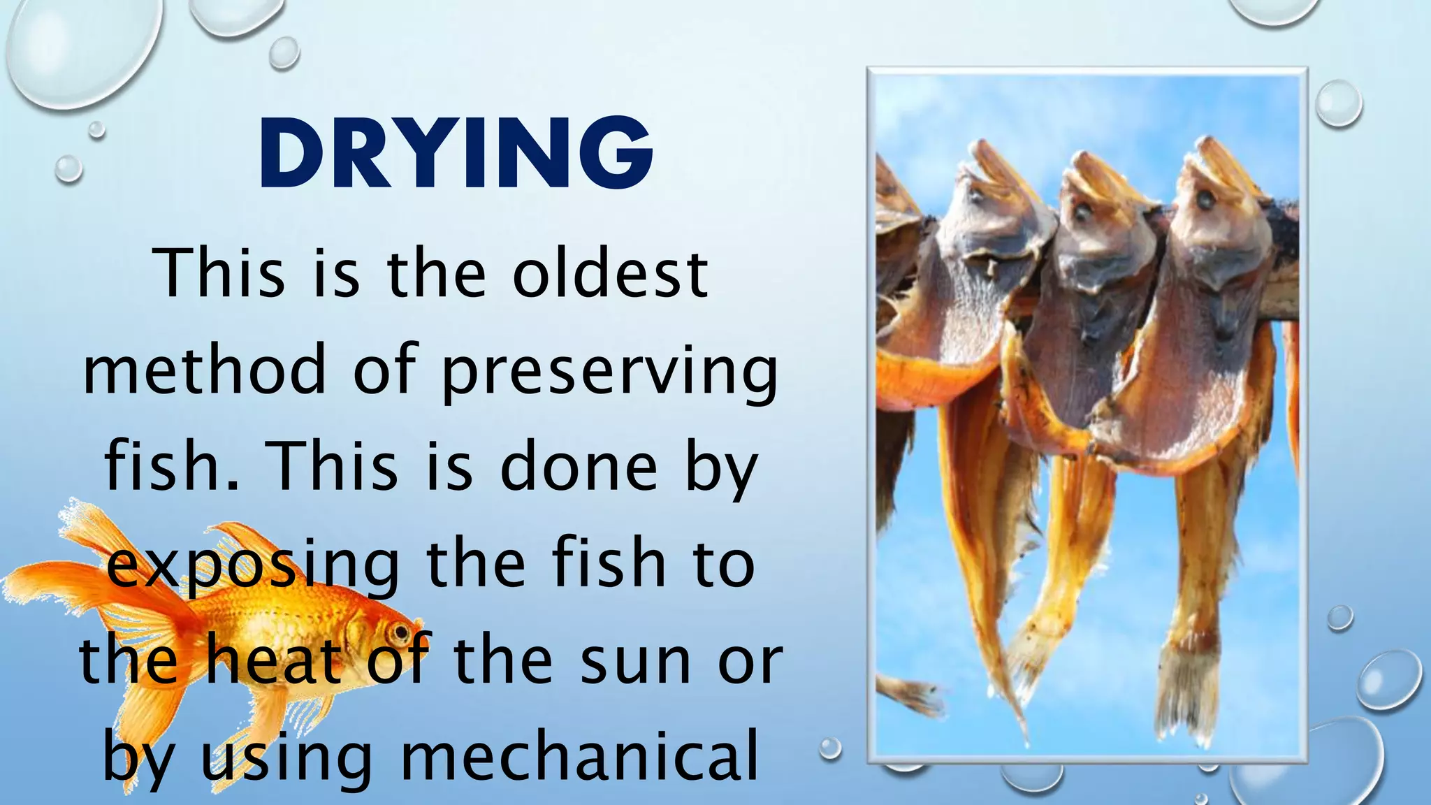 Methods used in fish curing | PPTX