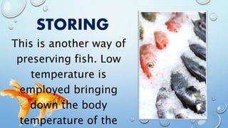 Methods used in fish curing | PPTX