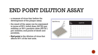 METHOD USED IN VIROLOGY.pptx.pdf_Adoximenes | PDF