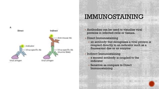 METHOD USED IN VIROLOGY.pptx.pdf_Adoximenes | PDF