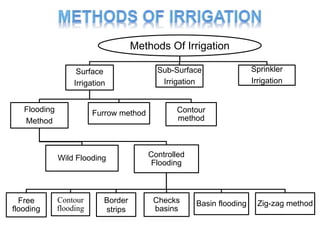 Methos of irrigation | PPTX