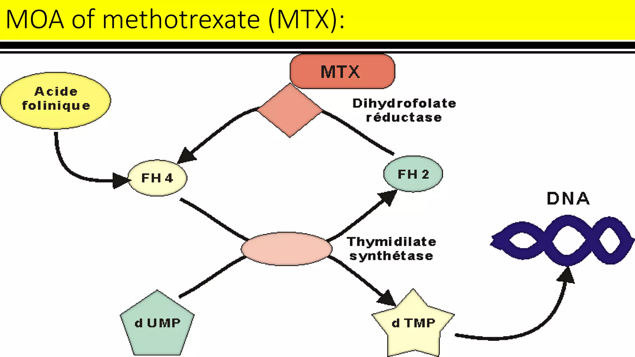 Methotrexate in ttt of rheumatoid arthritis | PPTX