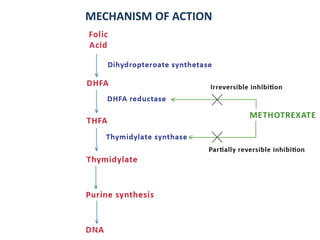 Methotrexate - A Comprehensive Drug Review in Dermatology | PPTX
