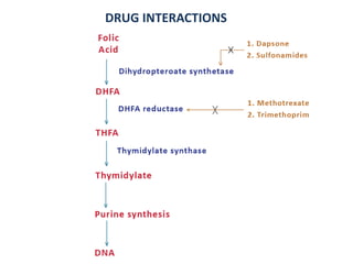 Methotrexate - A Comprehensive Drug Review in Dermatology | PPTX