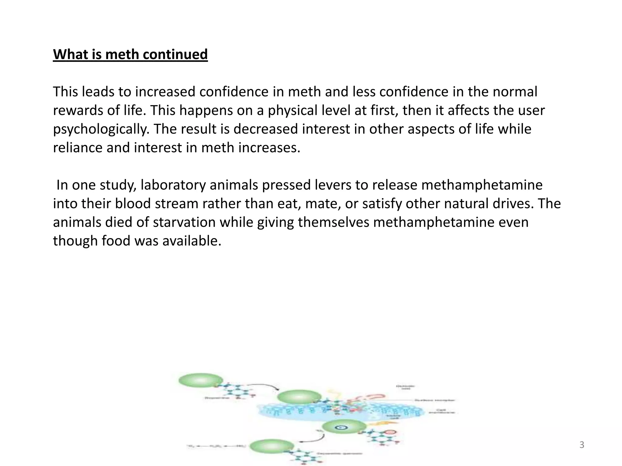 Meth p.p psych_275 | PPTX