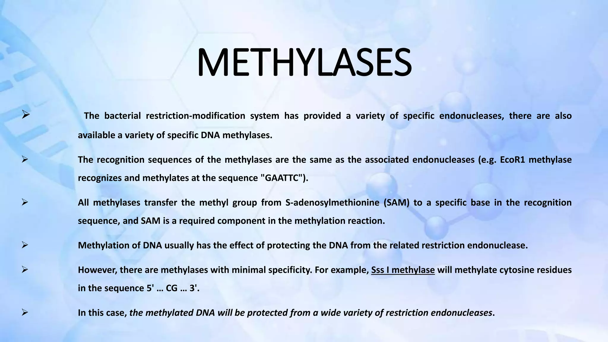 Methylases | PPTX