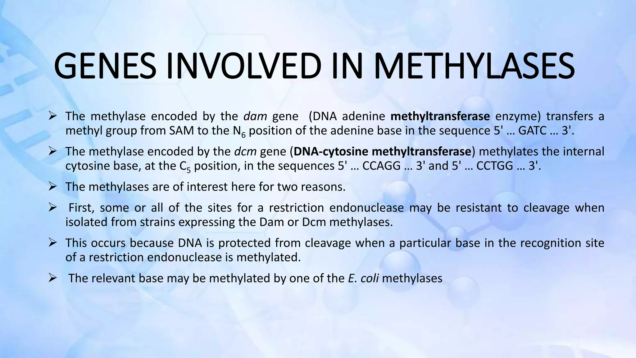 Methylases | PPTX