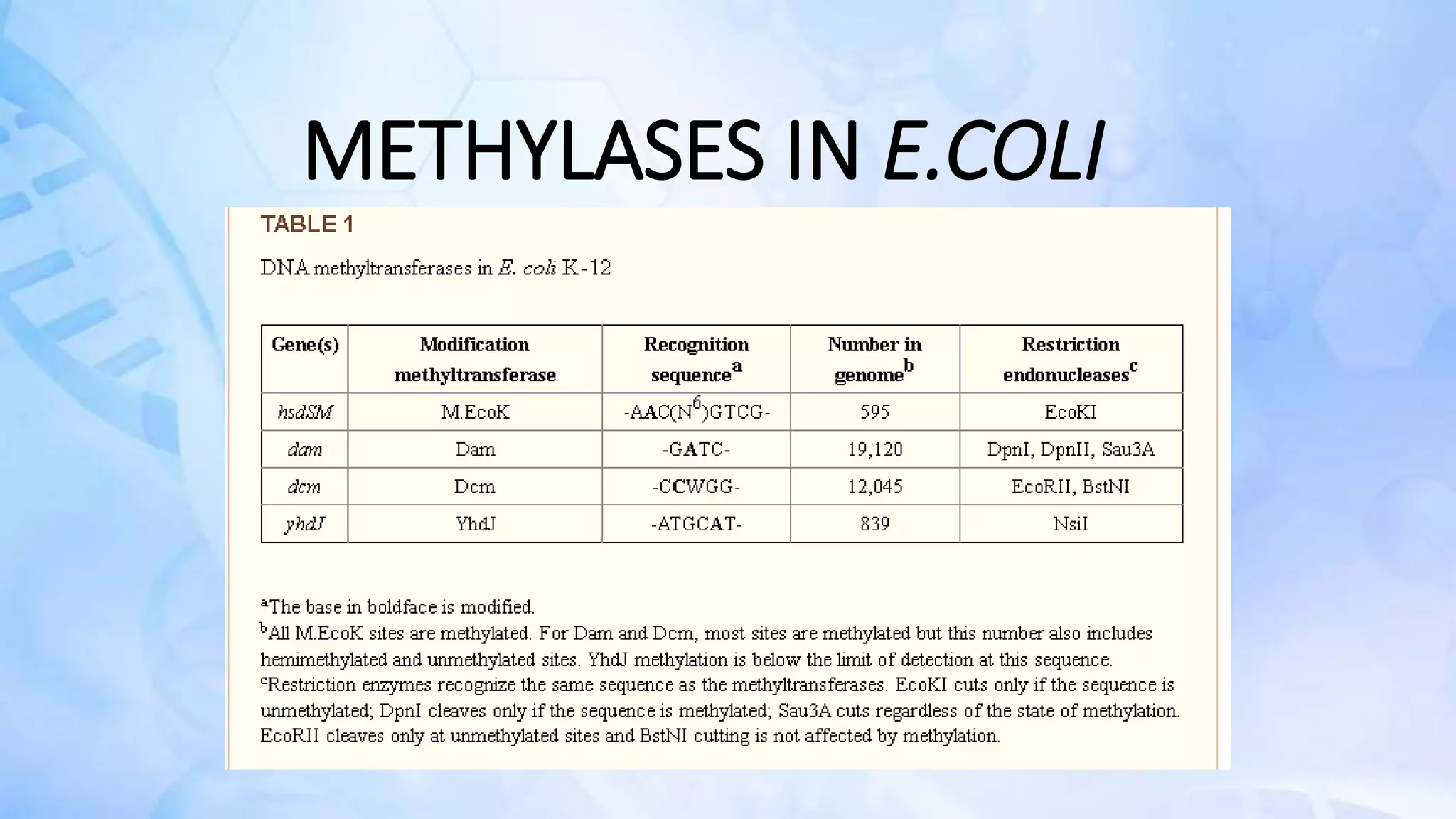 Methylases | PPTX