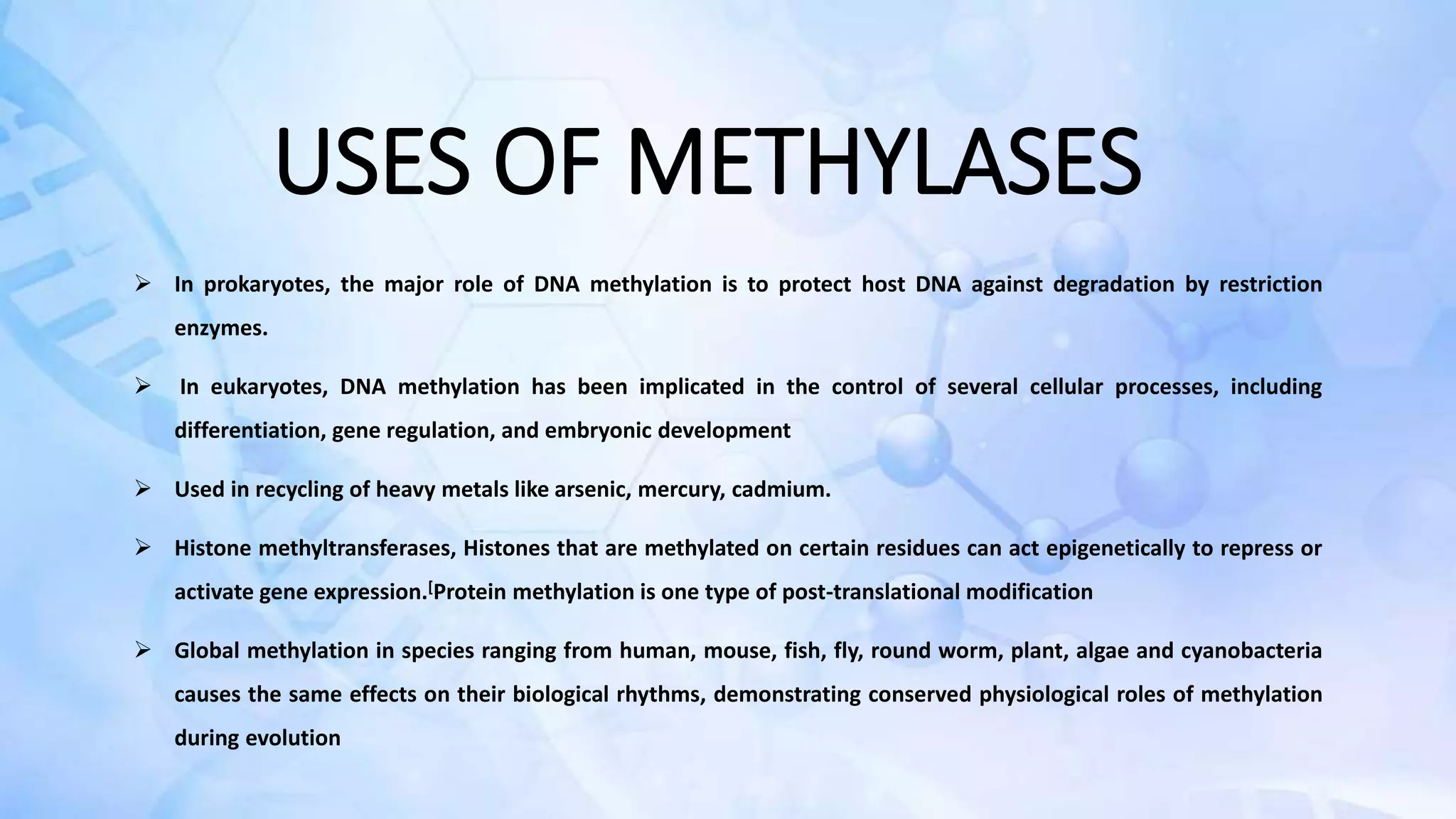 Methylases | PPTX
