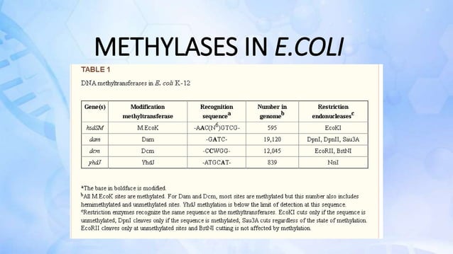 Methylases | PPTX | Chemistry | Science