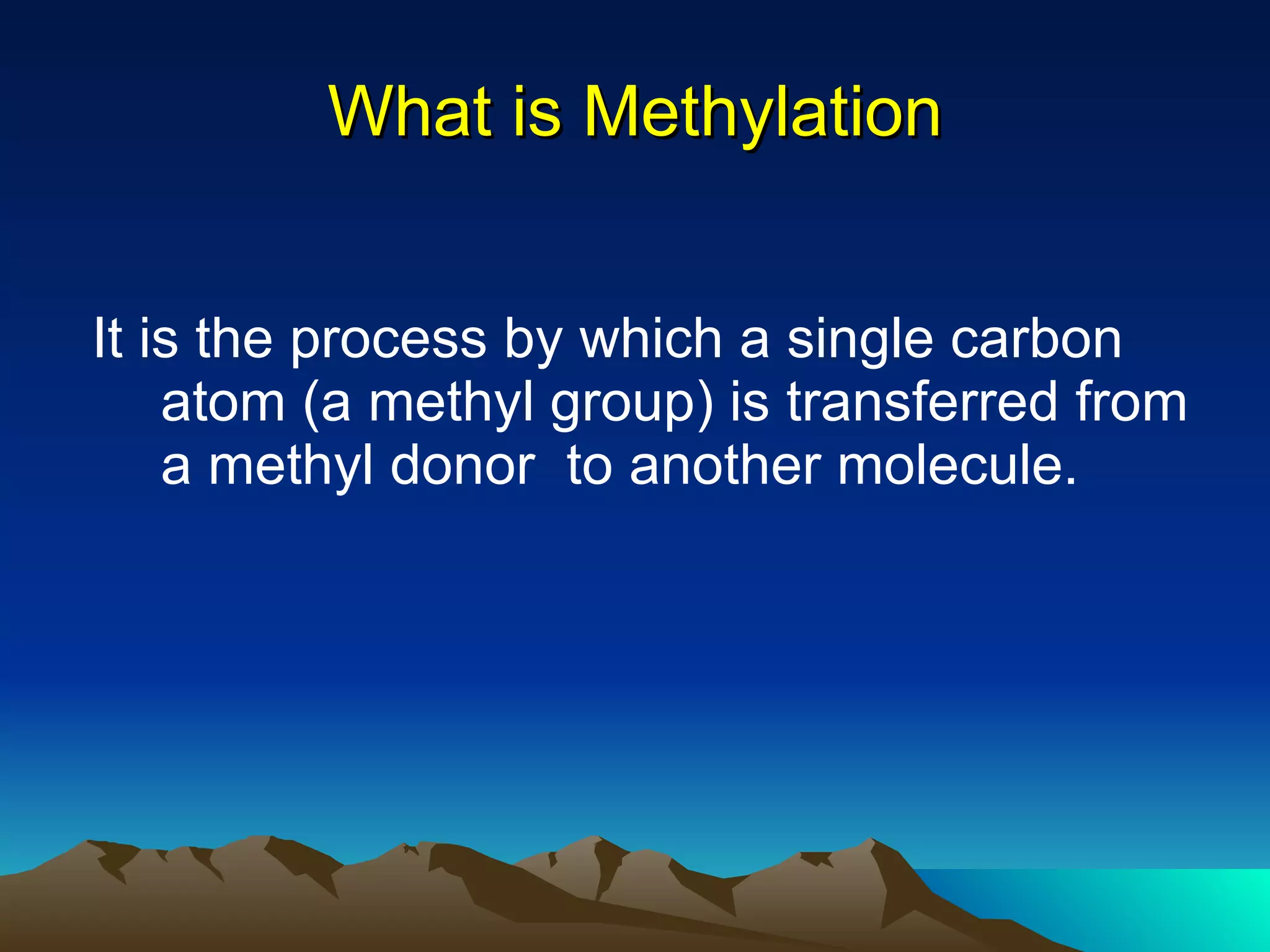 METHYLATION CYCLE AND IT\'S POLYMORPHISM | PPT