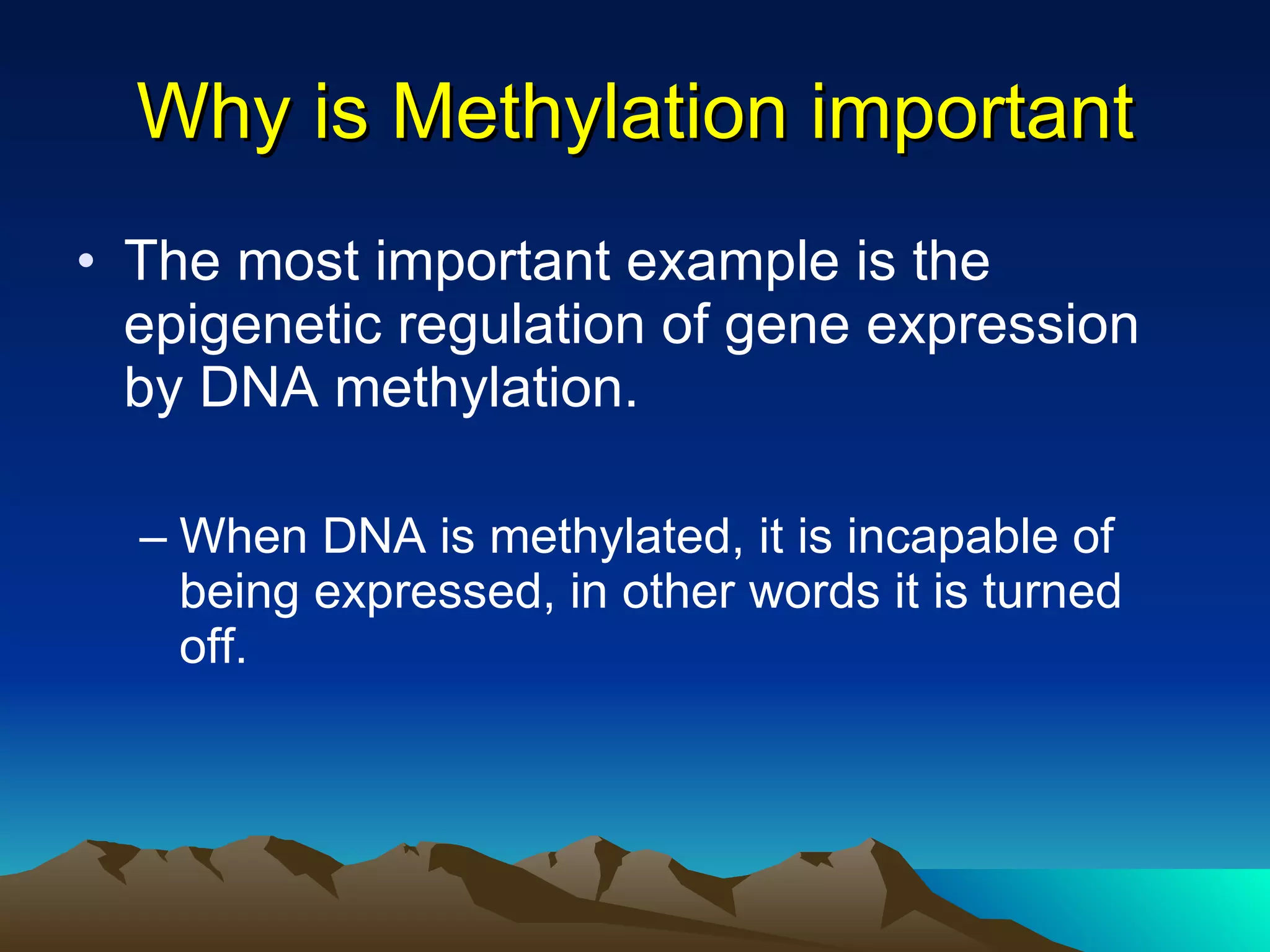 METHYLATION CYCLE AND IT\'S POLYMORPHISM | PPT