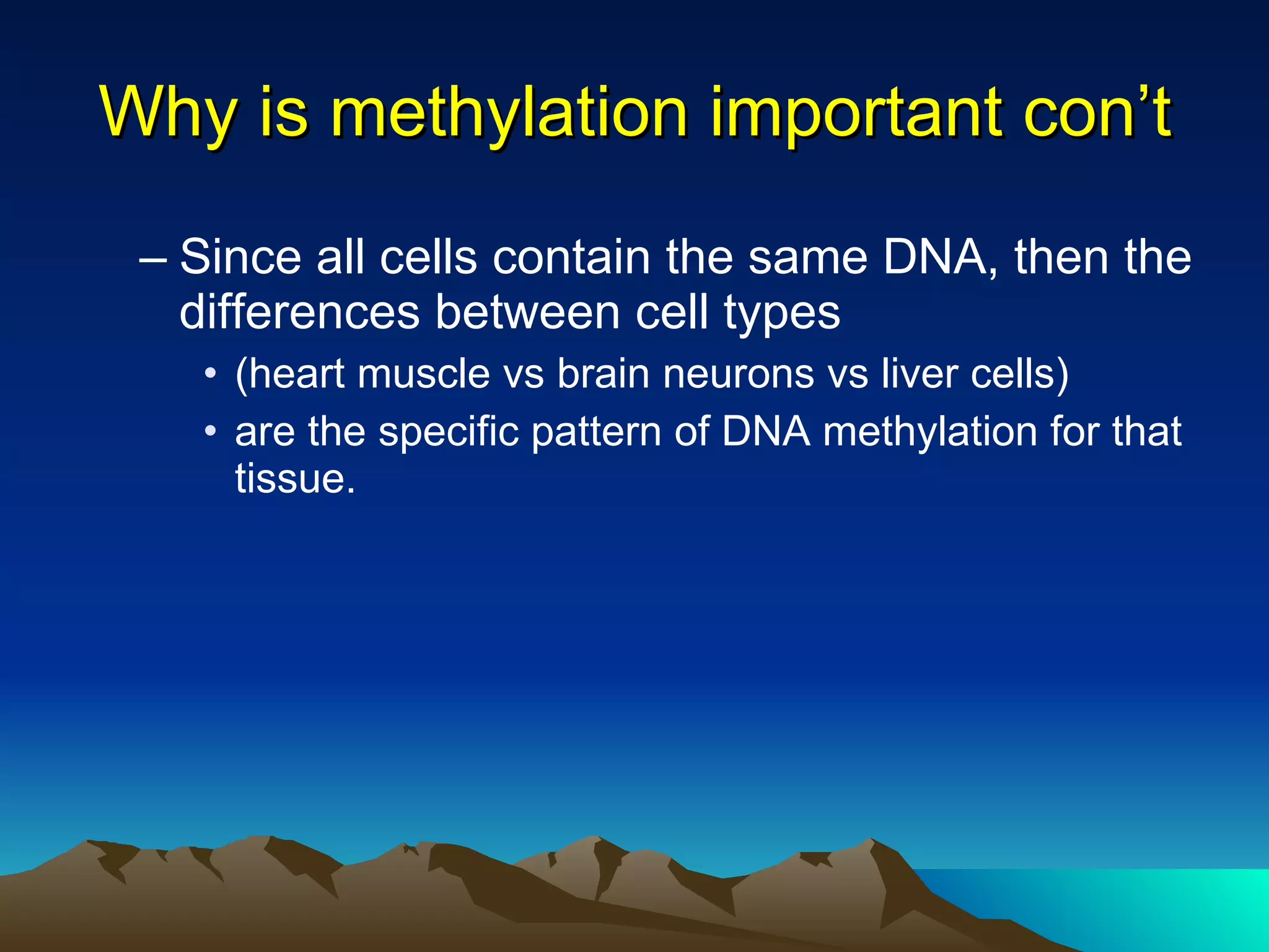 METHYLATION CYCLE AND IT\'S POLYMORPHISM | PPT