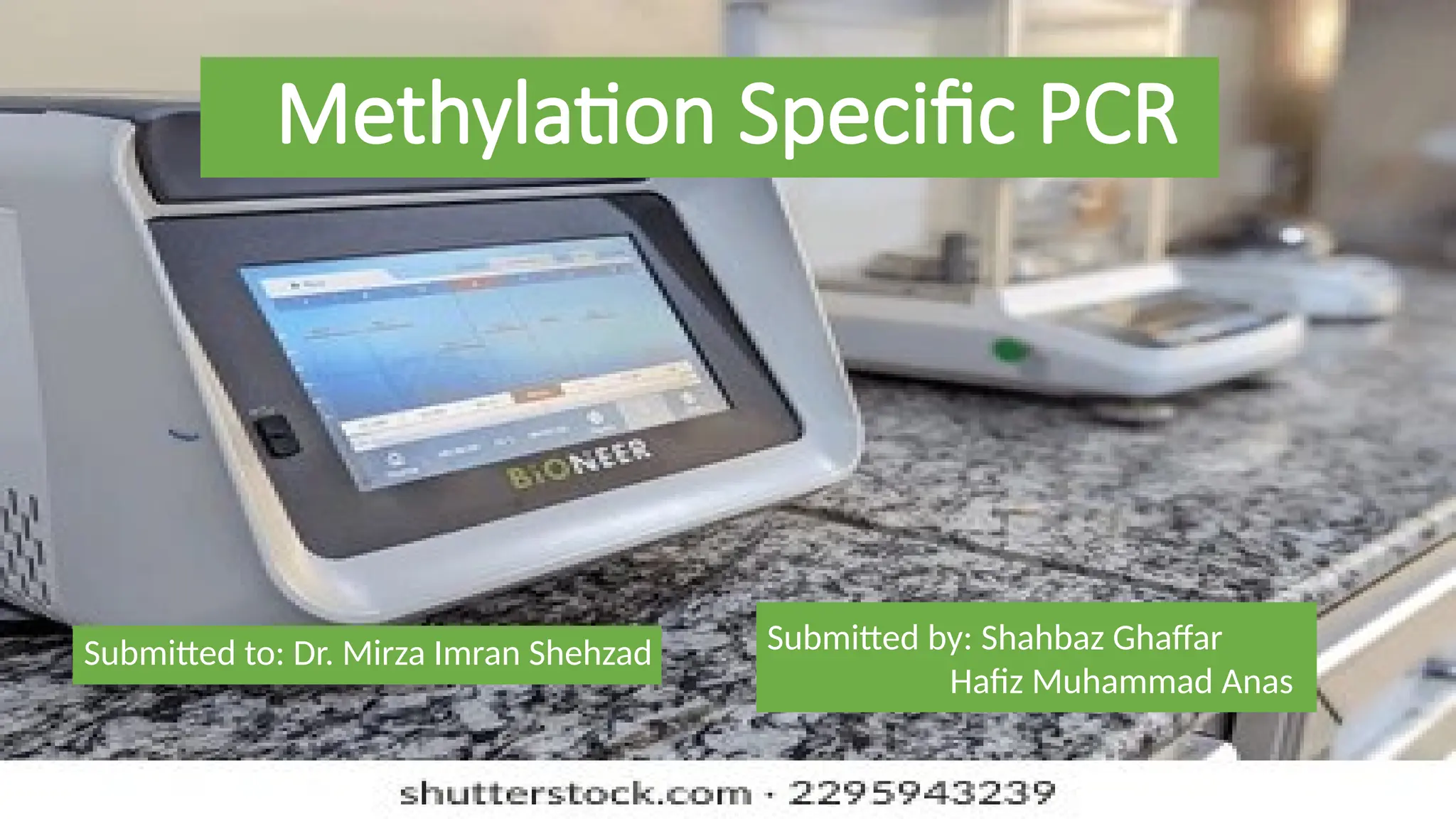 Methylation Specific PCR presentation ppt | PPTX