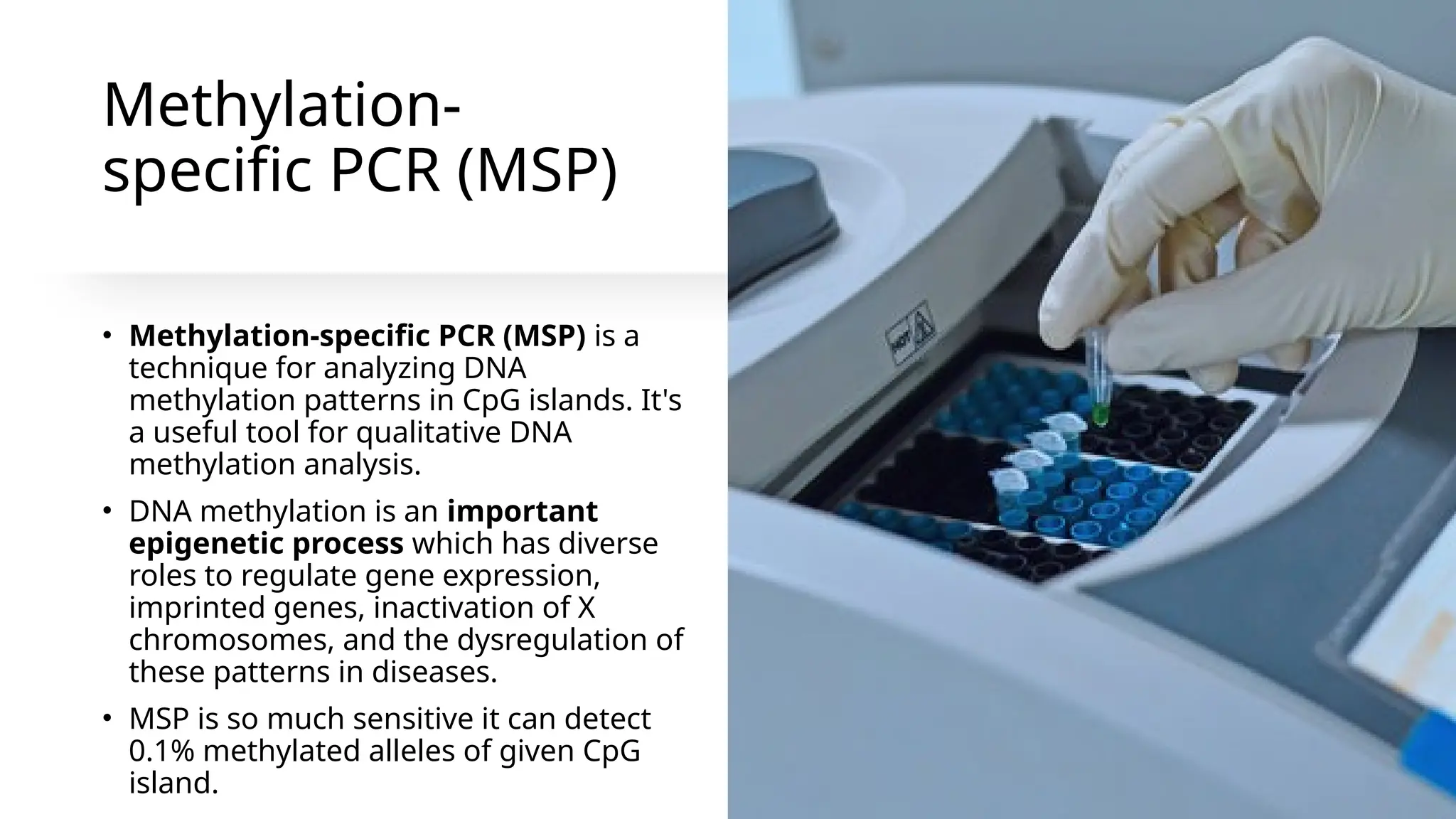 Methylation Specific PCR presentation ppt | PPTX