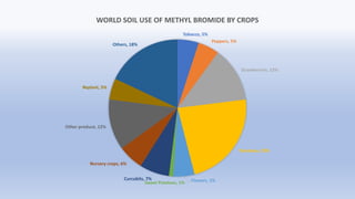 Methyl Bromide , Ozone Depletion and Alternatives.pdf