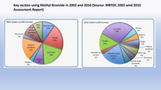 Methyl Bromide , Ozone Depletion and Alternatives.pdf