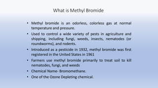 Methyl Bromide , Ozone Depletion and Alternatives.pdf