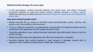 Methyl Bromide , Ozone Depletion and Alternatives.pdf