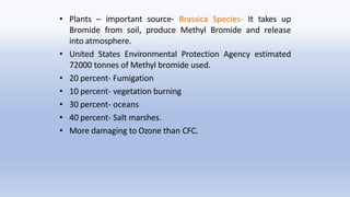 Methyl Bromide , Ozone Depletion and Alternatives.pdf