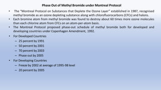 Methyl Bromide , Ozone Depletion and Alternatives.pdf