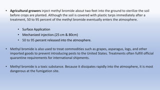 Methyl Bromide , Ozone Depletion and Alternatives.pdf