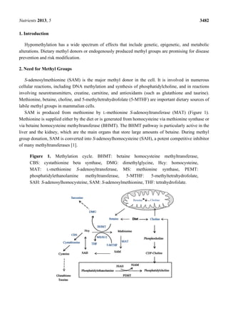 Methyl donors | PDF