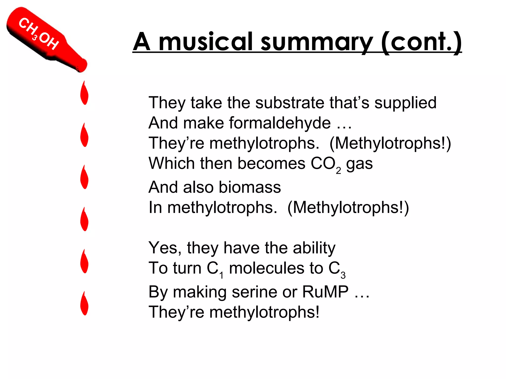 Alcohol consumption as a way of life: the metabolism of methylotrophic ...