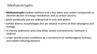 Methylotrophy | PPTX