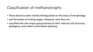Methylotrophy | PPTX