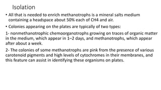 Methylotrophy | PPTX