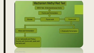Methyl red test(mr test) | PPTX