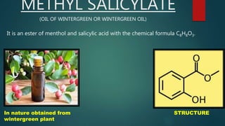 Methyl Salicylate Oil