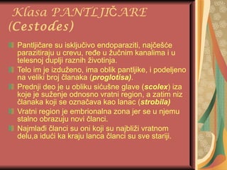 Metilji i pantljicar etanja | PPT