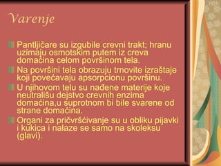 Metilji i pantljicar etanja | PPT