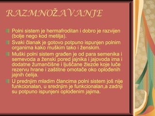 Metilji i pantljicar etanja | PPT