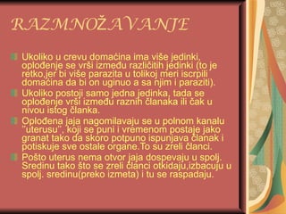 Metilji i pantljicar etanja | PPT