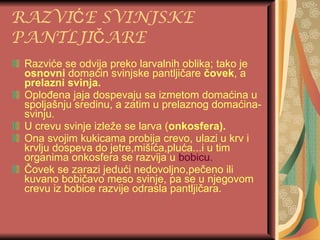 Metilji i pantljicar etanja | PPT