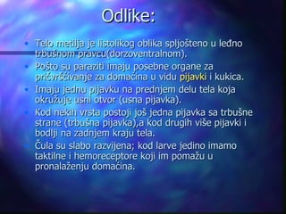 Metilji i pantljicar etanja | PPT