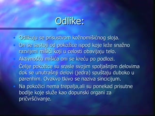 Metilji i pantljicar etanja | PPT