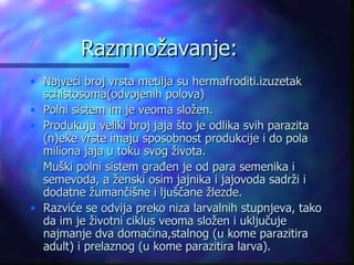 Metilji i pantljicar etanja | PPT