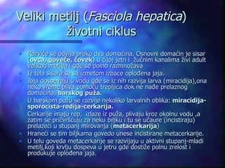 Metilji i pantljicar etanja | PPT
