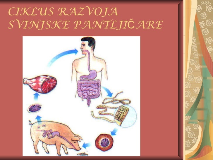 Metilji i pantljicar etanja