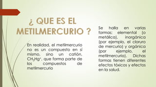 Metilmercurio presentacion final | PPTX