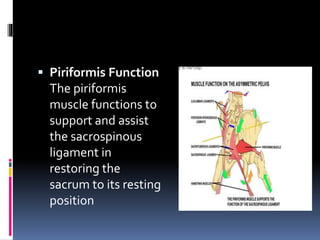 Met in si joint dysfunction | PPT