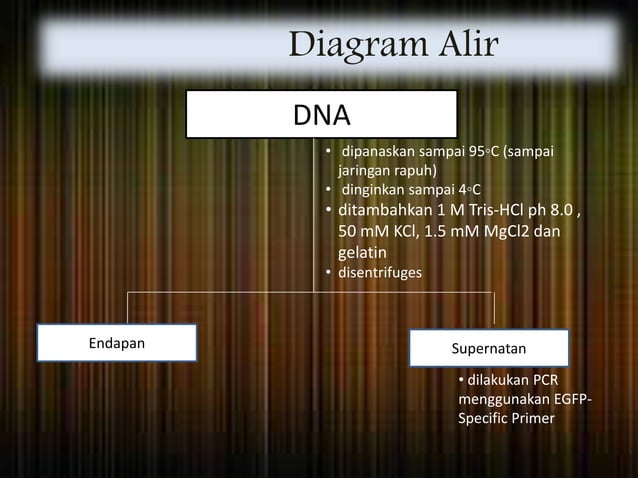Metoda isolasi pcr ready genomik dna dari jaringan ikan | PPT